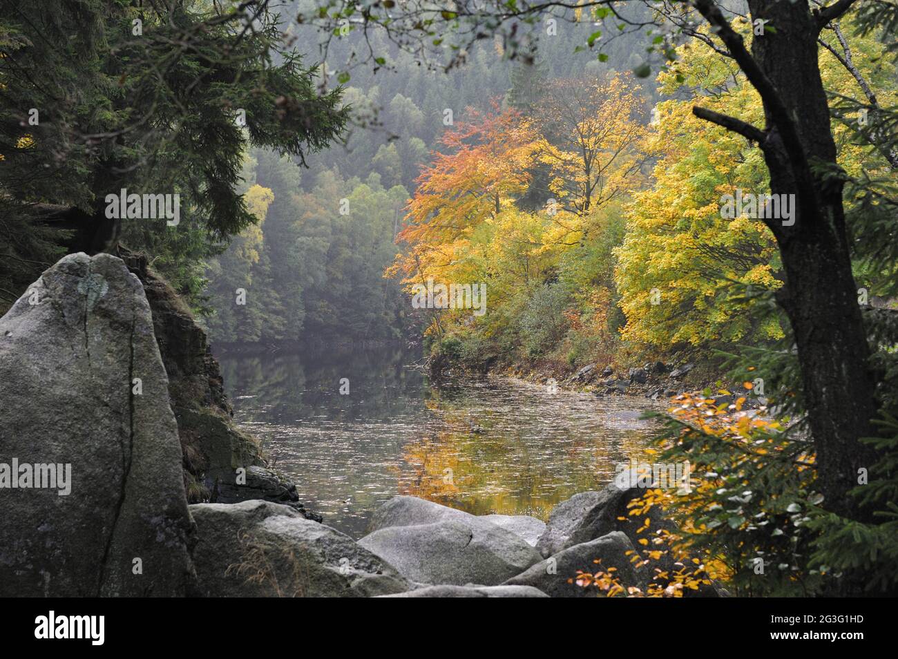 Valley Of The Oker High Resolution Stock Photography and Images - Alamy