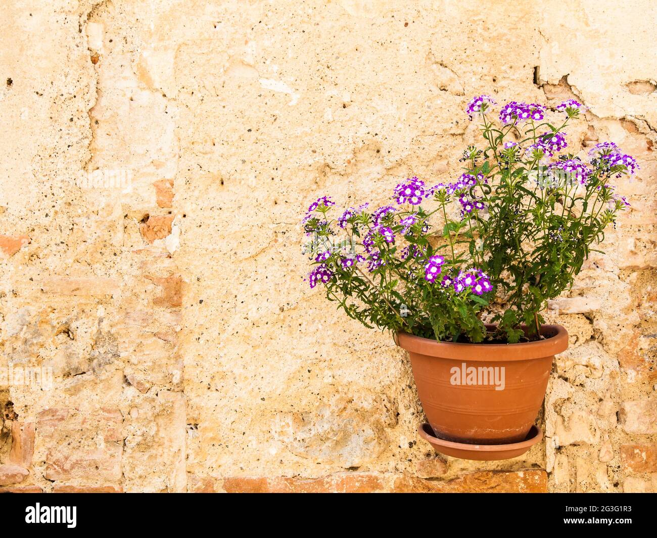 Tuscany decor chianti hi-res stock photography and images - Alamy