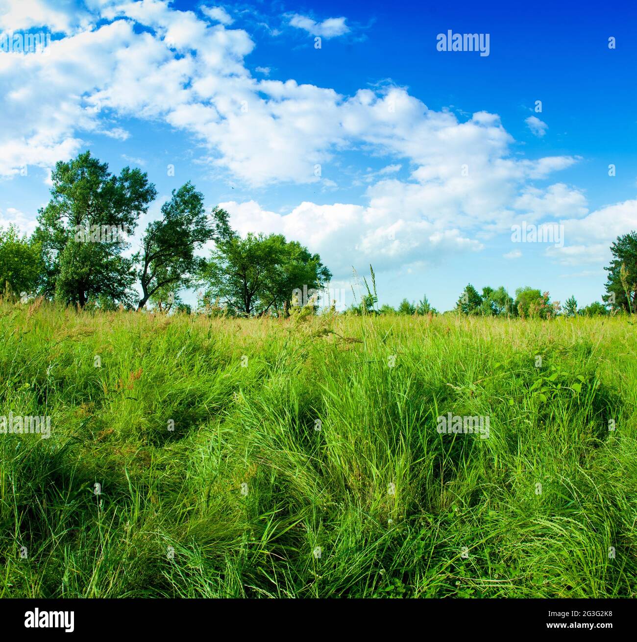 Grass blue sky clouds hi-res stock photography and images - Alamy