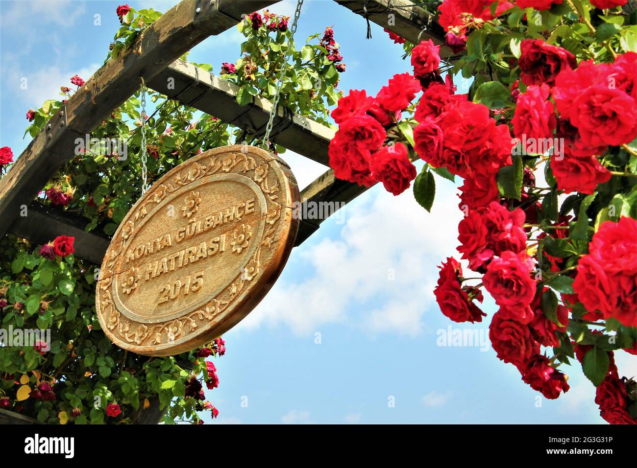 Gate flower hi-res stock photography and images - Alamy