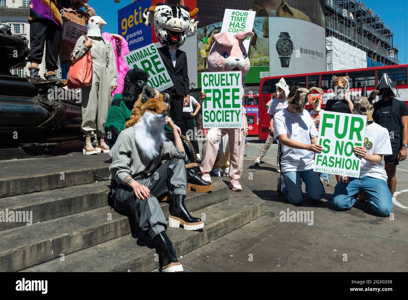 Animal cruelty hi-res stock photography and images - Alamy