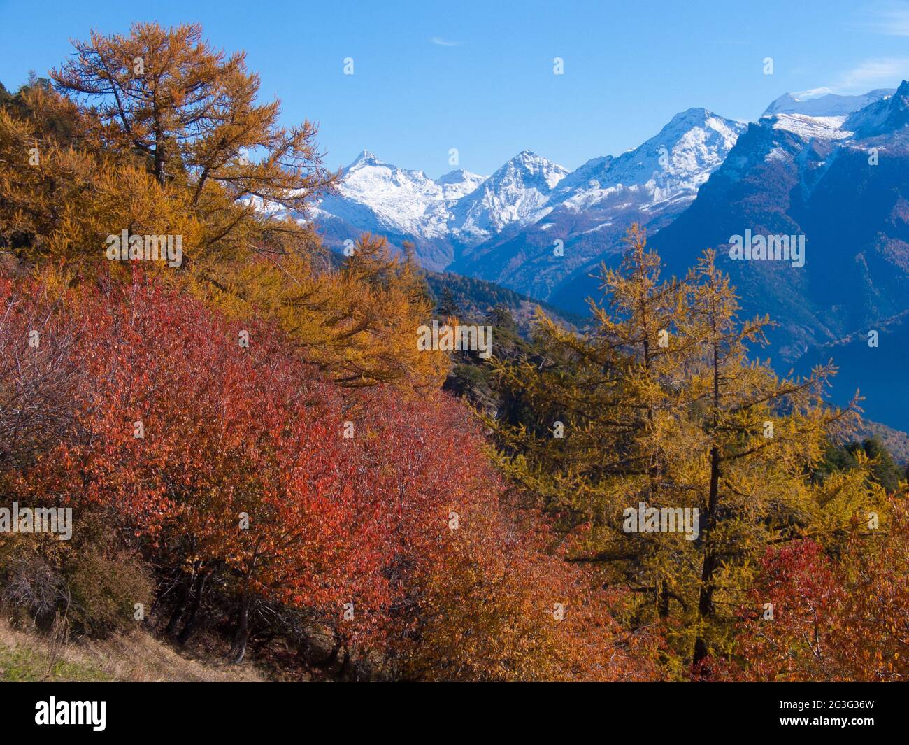 Autumn in Switzerland Stock Photo - Alamy