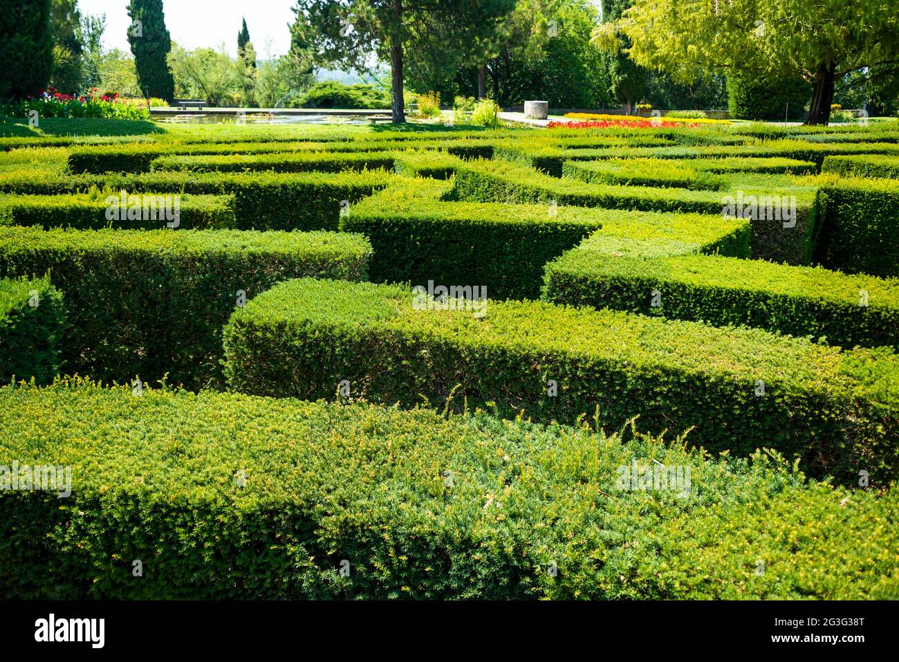 Green maze made with plants in a park Stock Photo - Alamy