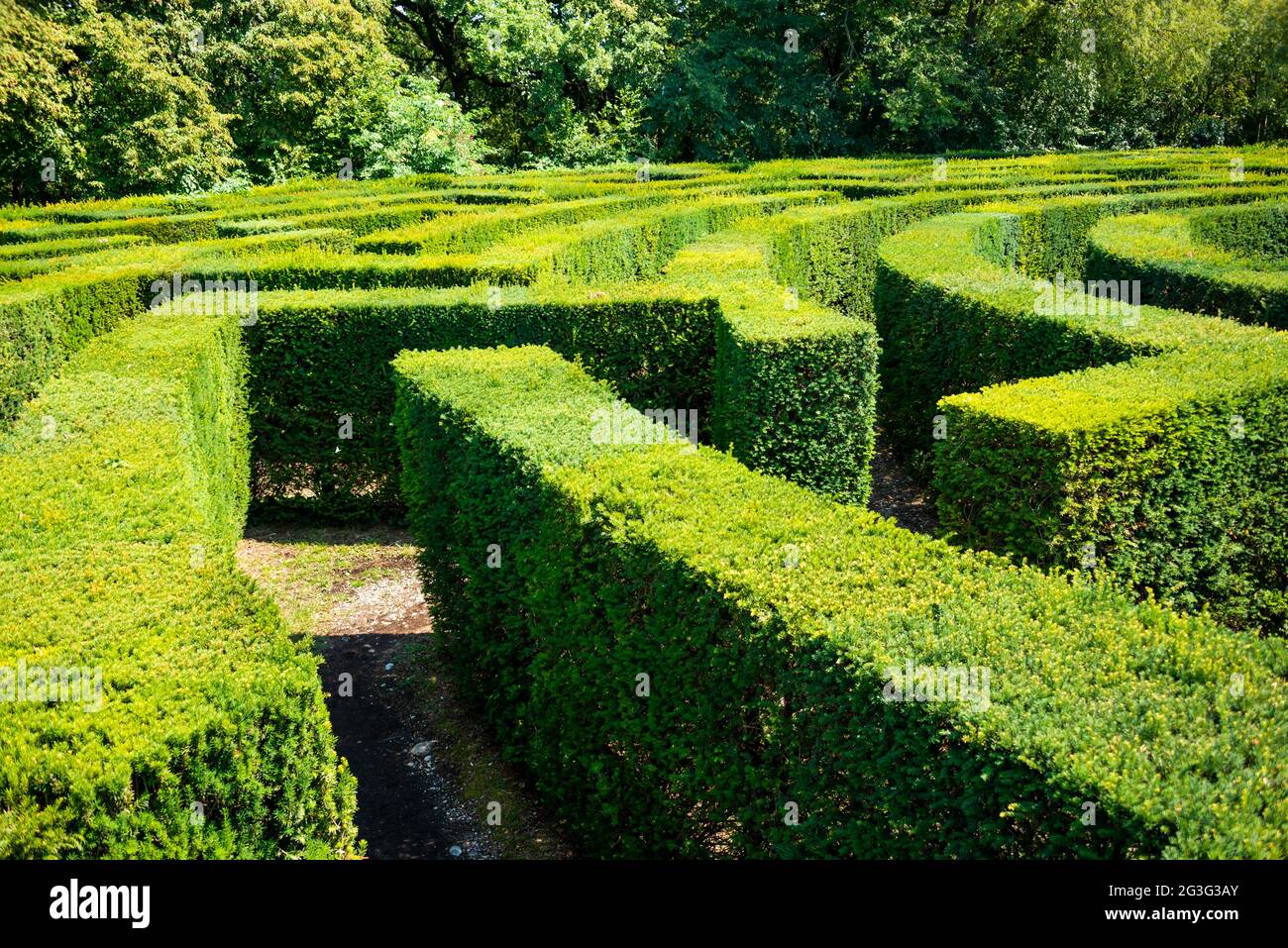 Green maze made with plants in a park Stock Photo - Alamy