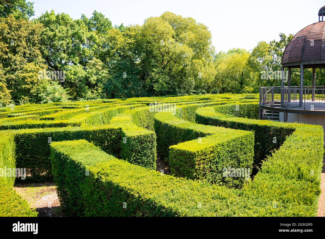 Green maze hi-res stock photography and images - Alamy