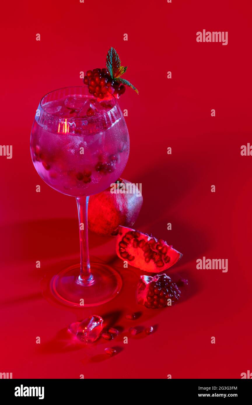 Gin and tonic pomegranate cocktail with ice cubes and mint leaves on ...