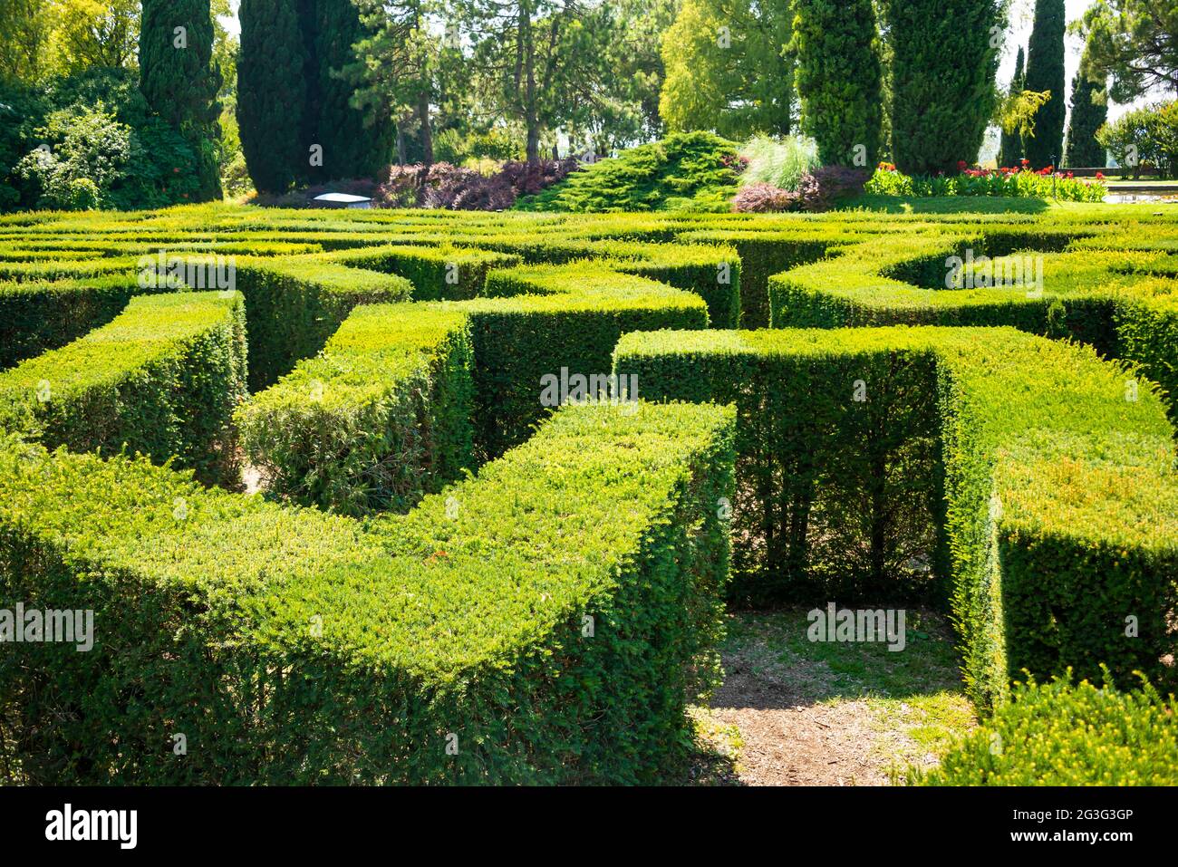 Green maze made plants hi-res stock photography and images - Alamy