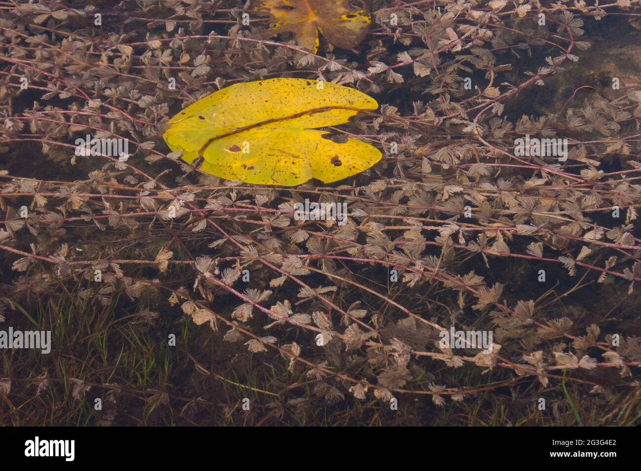 Sheet of water hi-res stock photography and images - Alamy