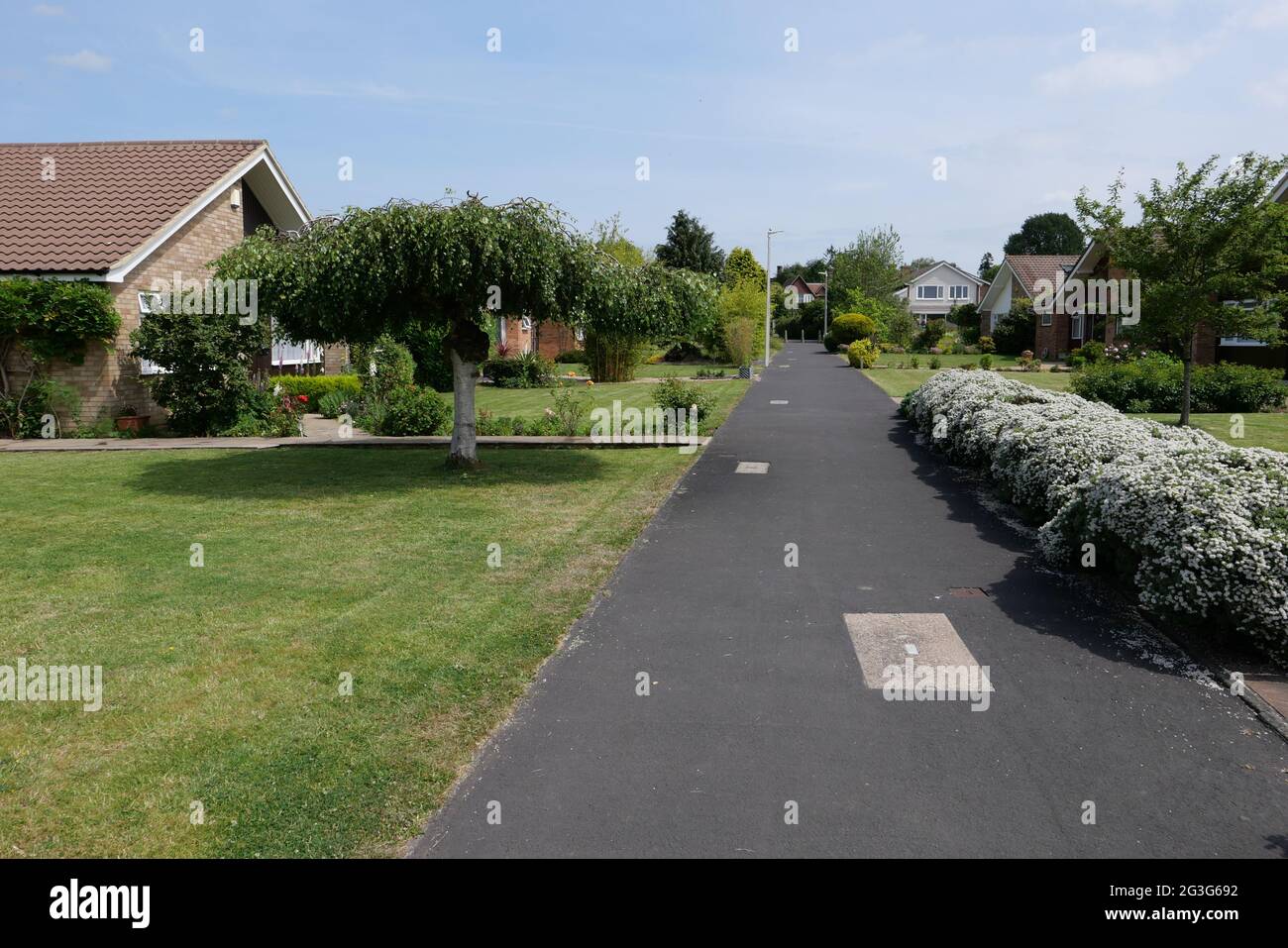 A path between a line of bungalows in the UK Stock Photo - Alamy