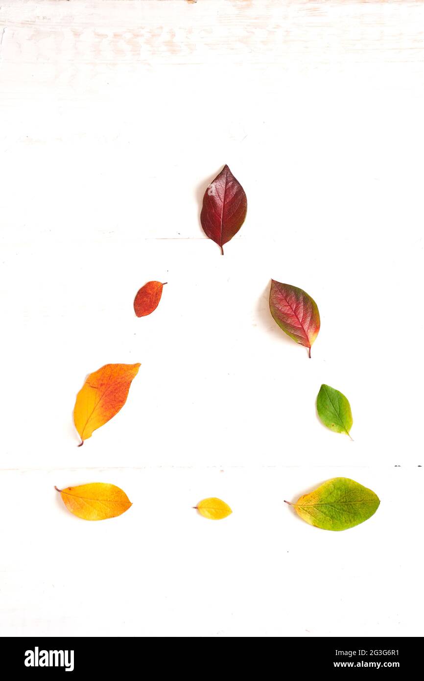 Triangle of colorful autumn leaves in the form of a gradient text frame ...