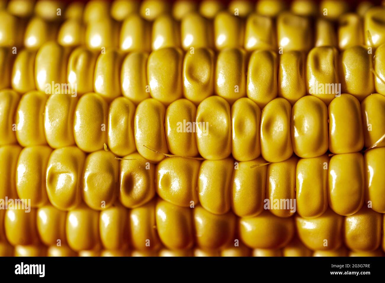 corn grains close up. Yellow ripe corn Stock Photo - Alamy