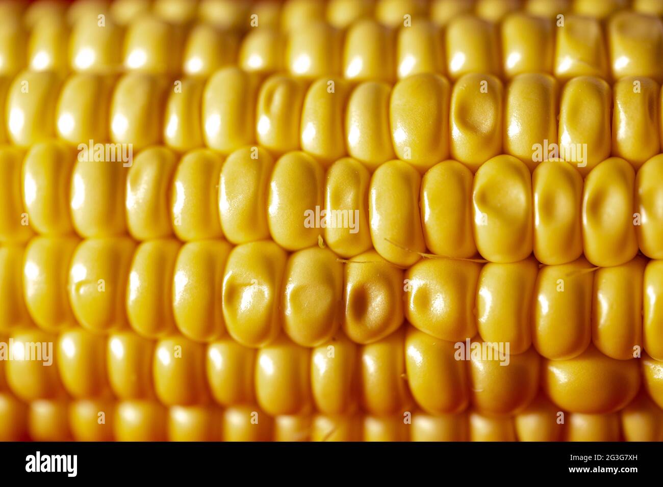 Yellow corn grains hi-res stock photography and images - Alamy