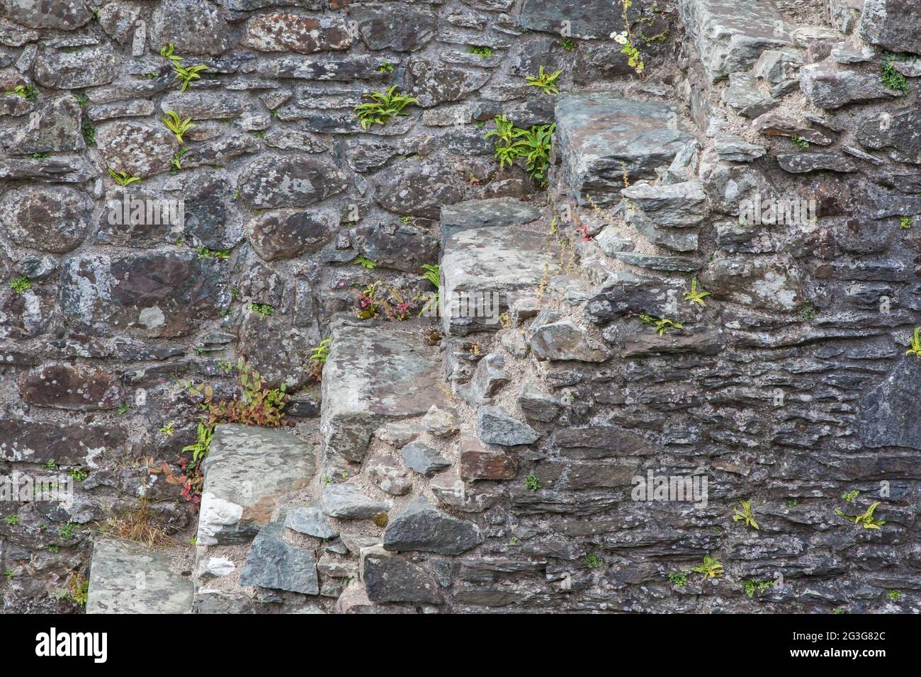 Stairs at an old castle wall Stock Photo - Alamy