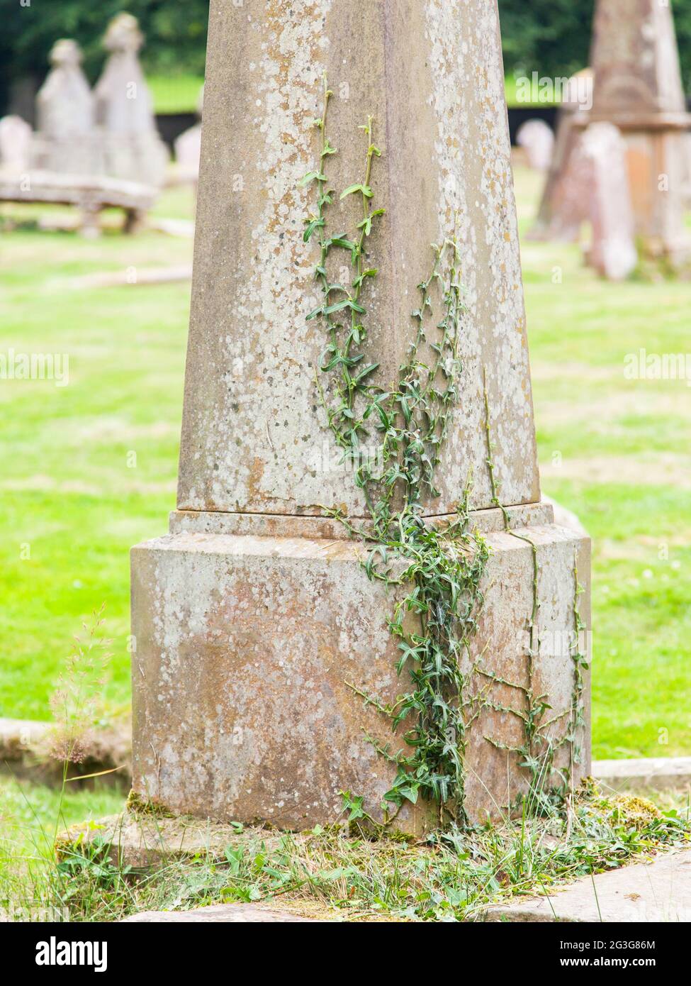 Very old gravestone with green leaves Stock Photo - Alamy