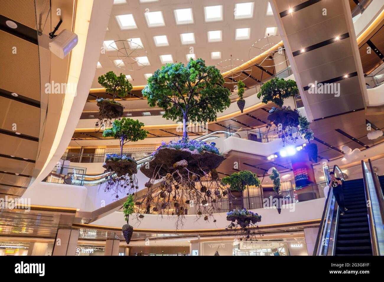SHANGHAI, CHINA - JUNE 16, 2021 - Trees of different sizes float in the ...