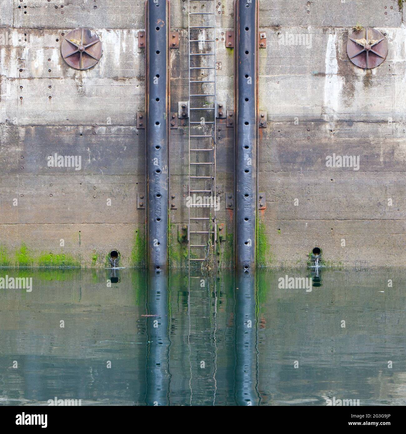 Ladder into the water Stock Photo - Alamy