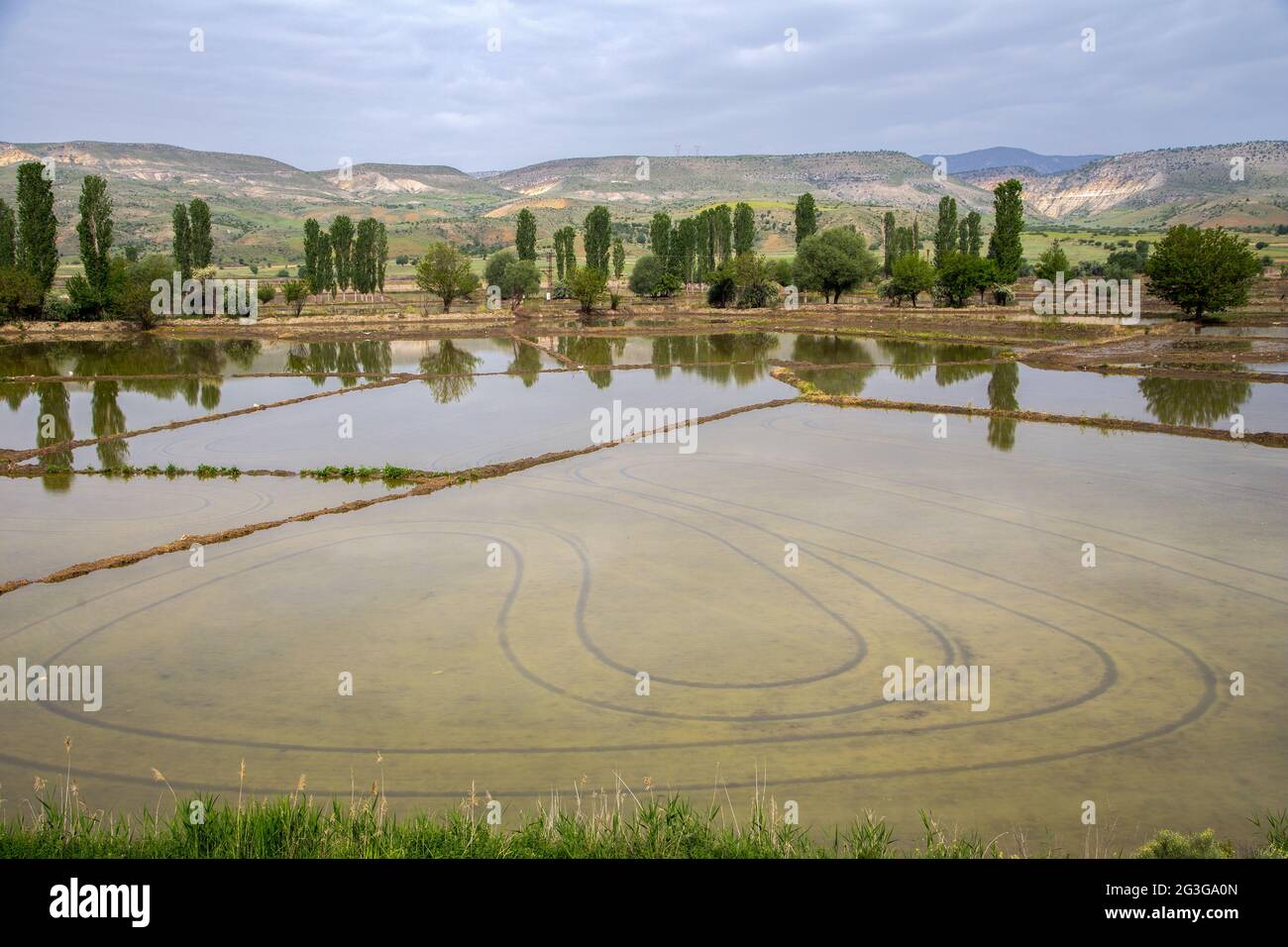 Paddy field pattern hi-res stock photography and images - Alamy