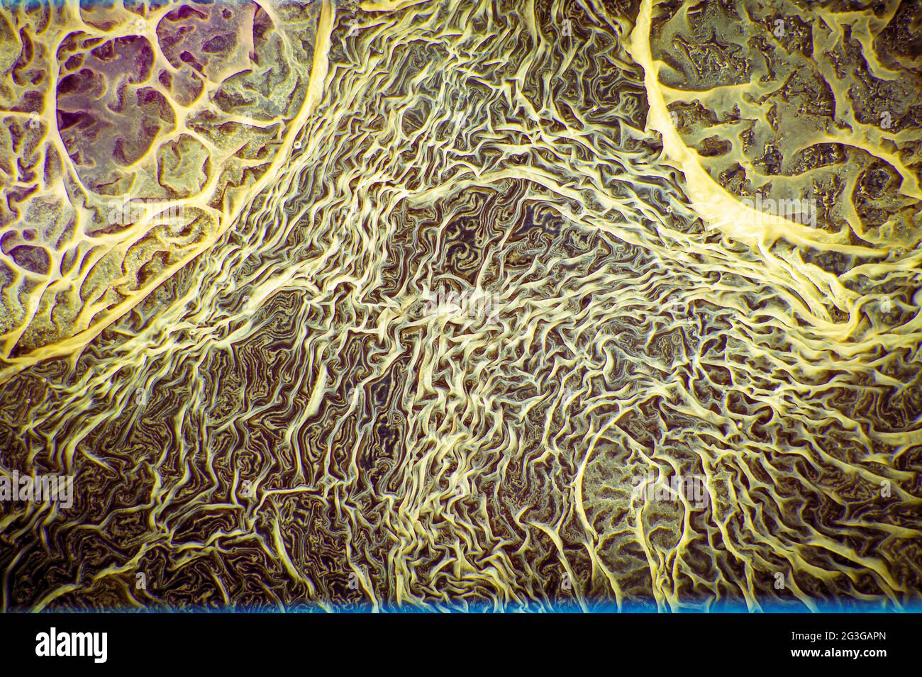 Mold-tainted food and unusable shelf life Stock Photo - Alamy