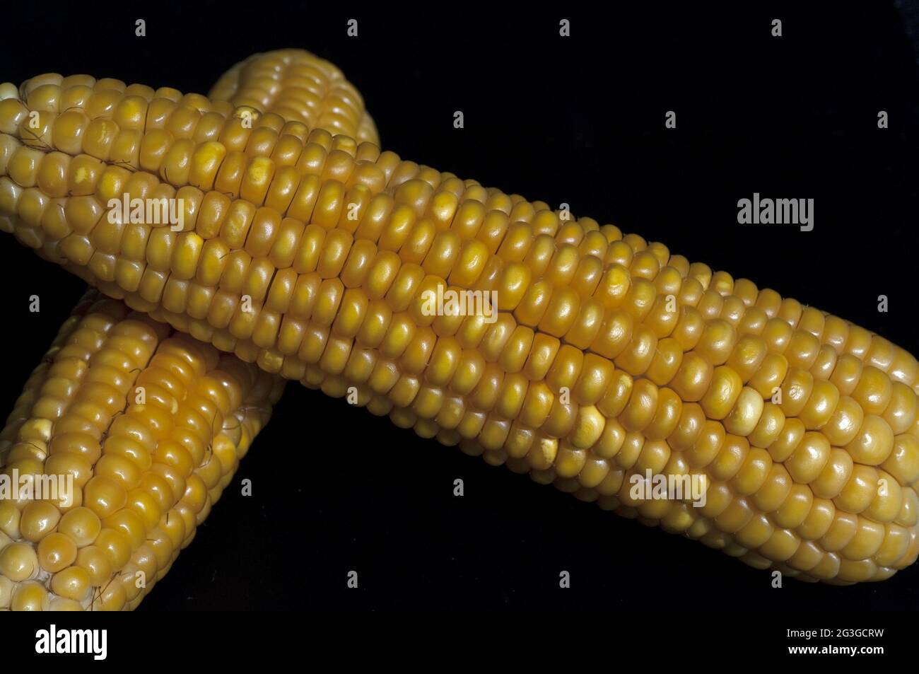 Healing garden plants optional hi-res stock photography and images - Alamy