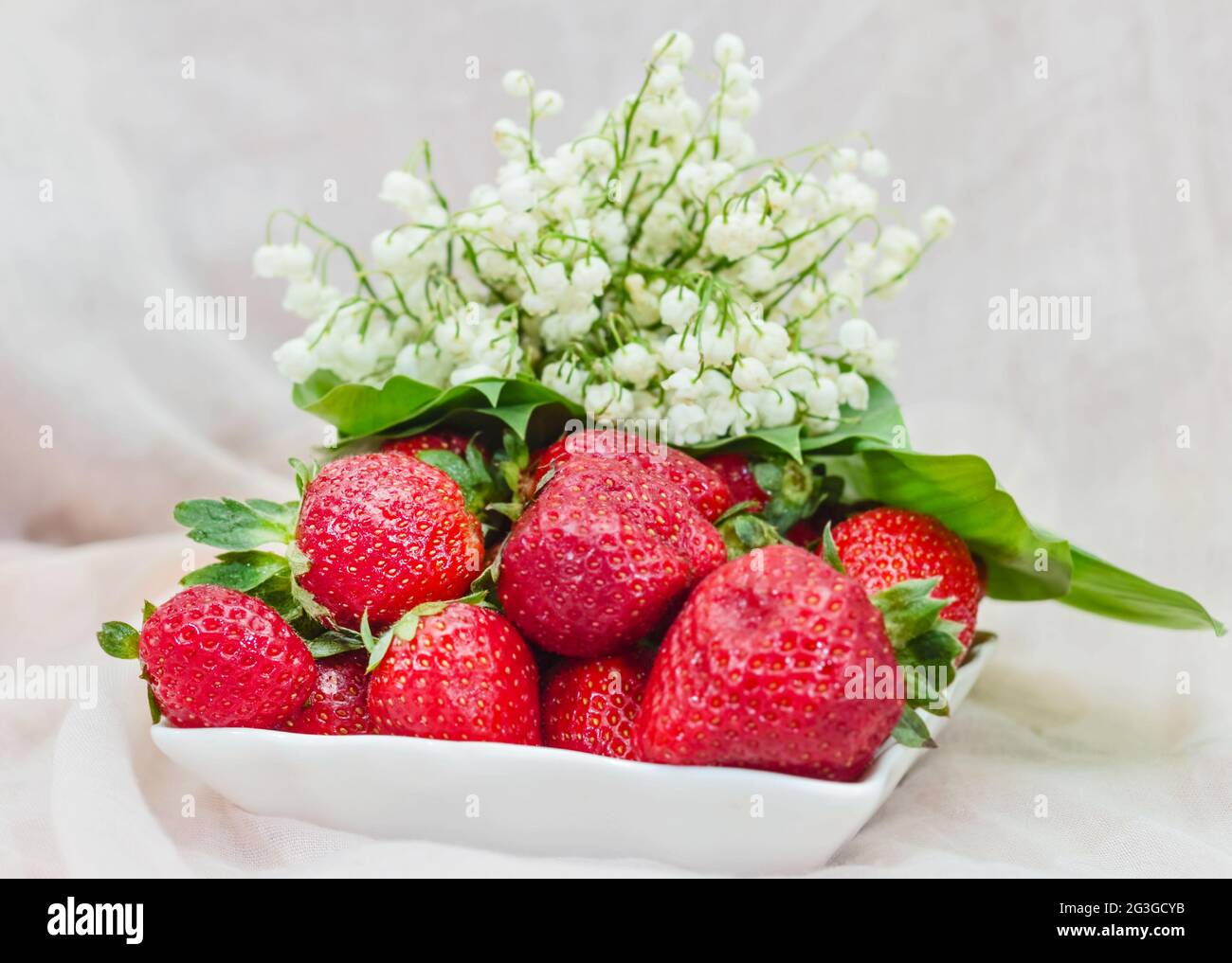 Soft lilies hi-res stock photography and images - Alamy