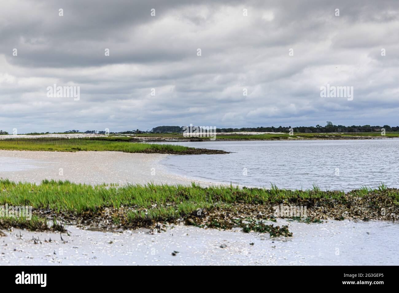 Tybee island marsh hi-res stock photography and images - Alamy