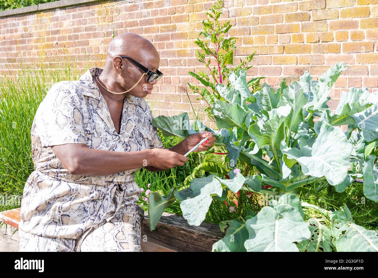 Andi oliver chef hi-res stock photography and images - Alamy