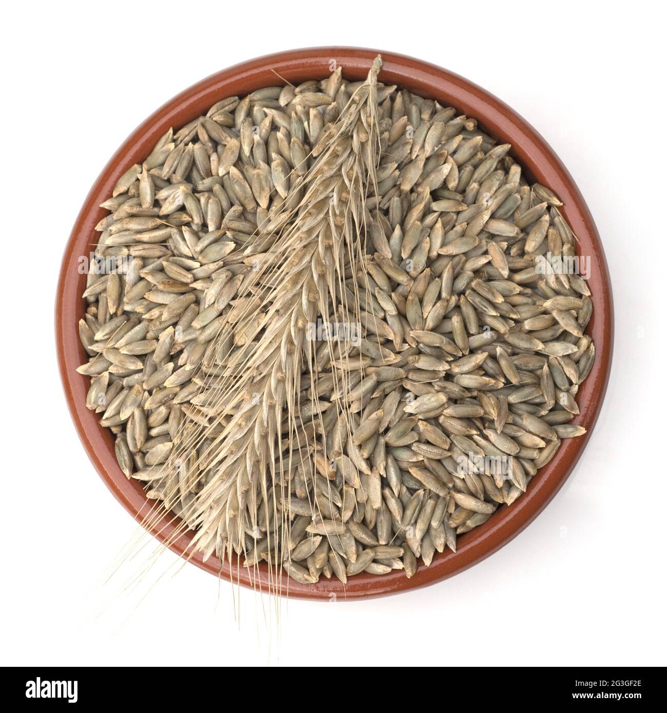 Rye free Cut Out Stock Images & Pictures - Alamy