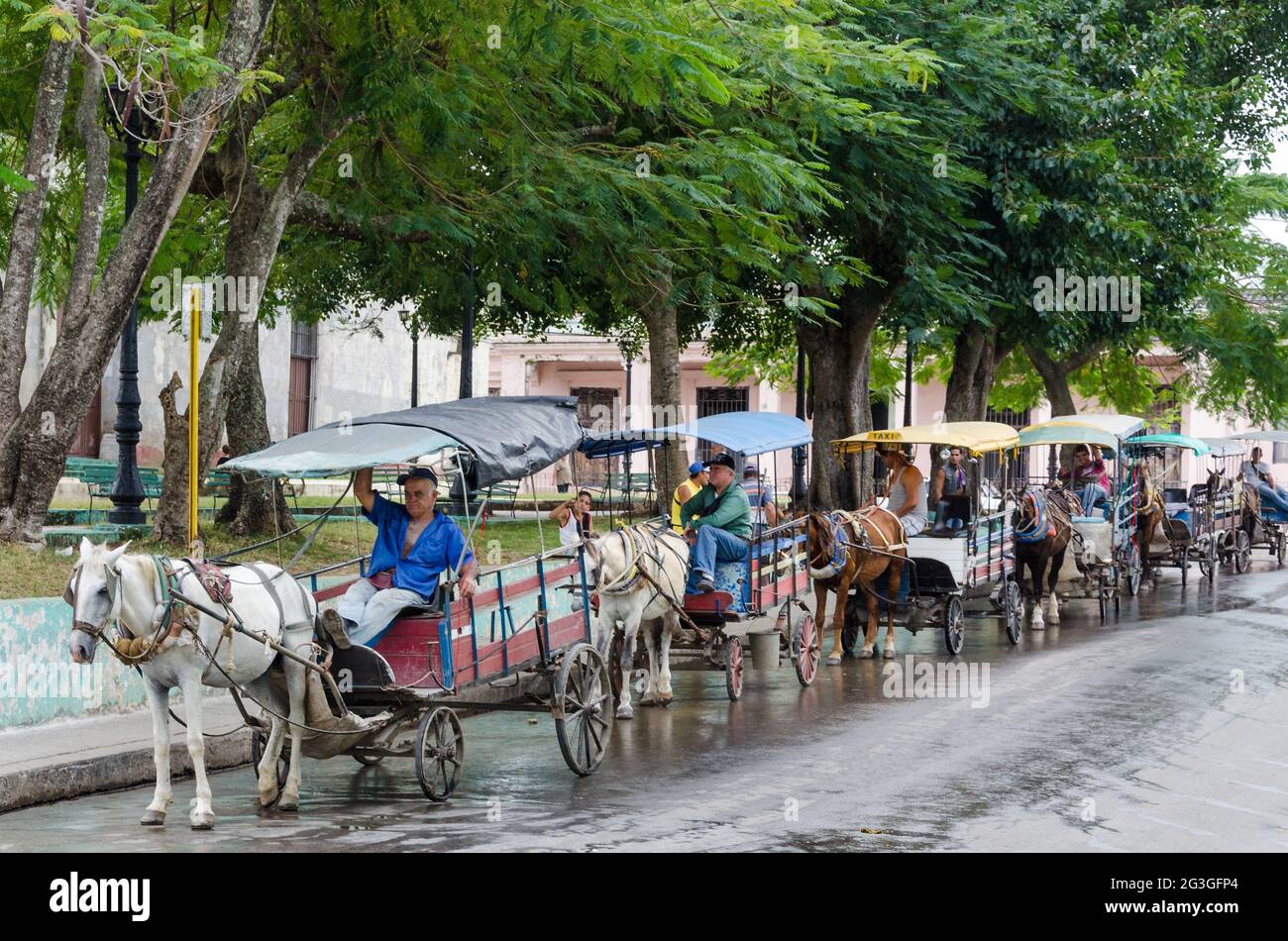 Transporting horse hi-res stock photography and images - Alamy