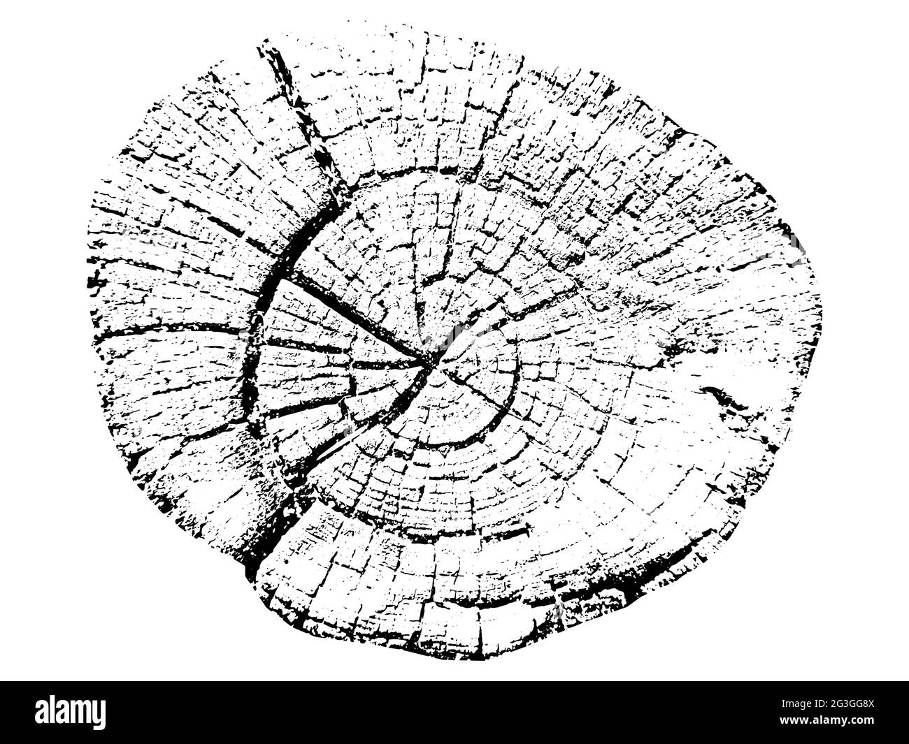 Tree growth rings. Natural cut wood. Vector illustration Stock Vector ...