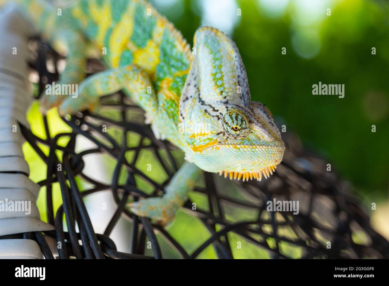 Slowly 4k hi-res stock photography and images - Alamy