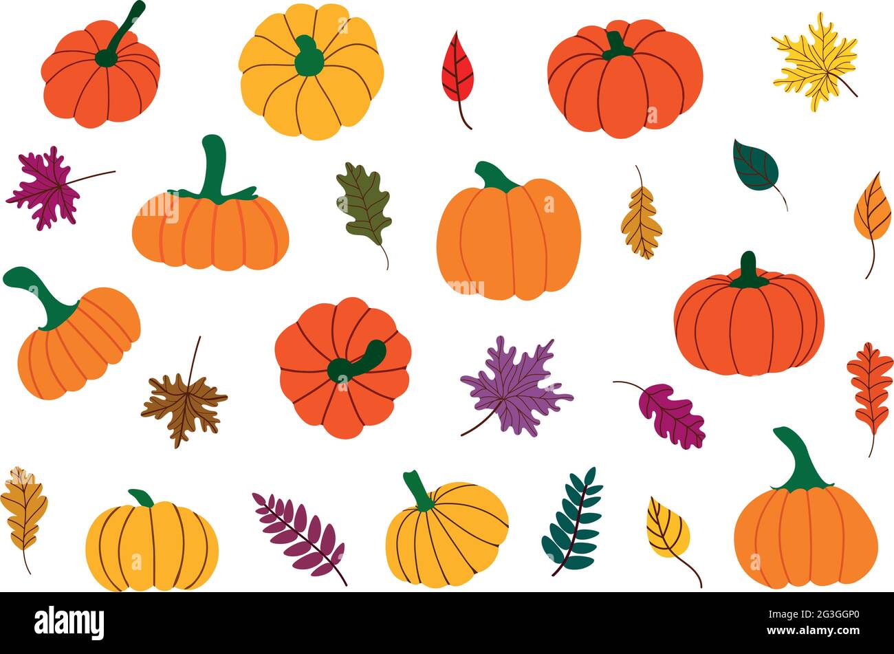 Acorn squash cut out Stock Vector Images - Alamy