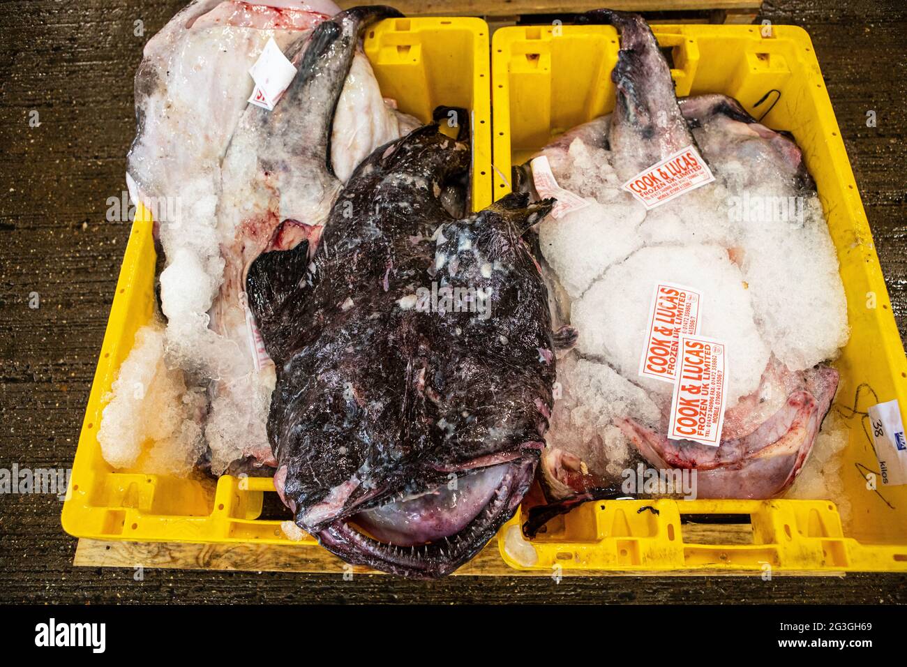 Haddock, Grimsby Fish Market, Grimsby Docks, Uk Fishing Stock Photo - Alamy