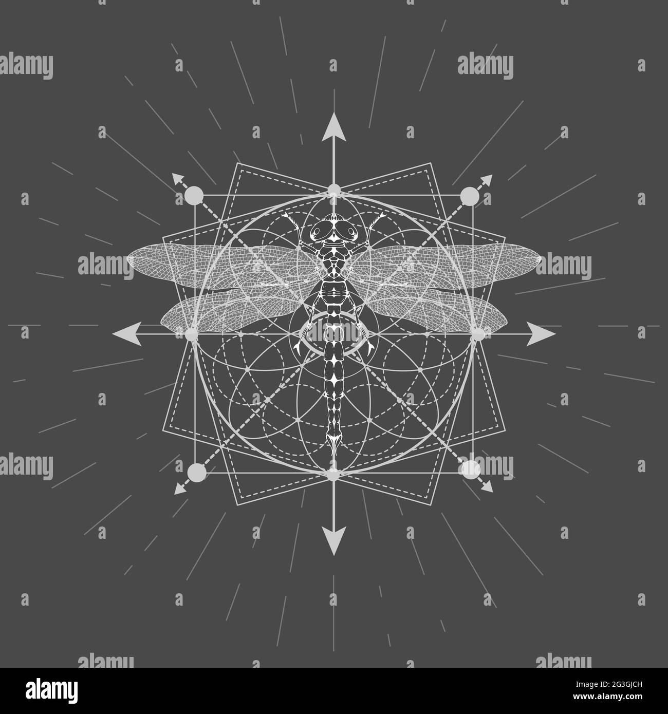 Vector illustration with hand drawn Dragonfly and Sacred geometric ...