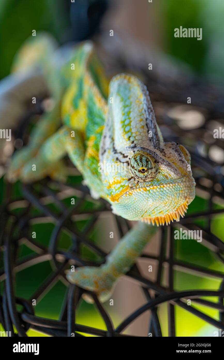 Slowly 4k hi-res stock photography and images - Alamy