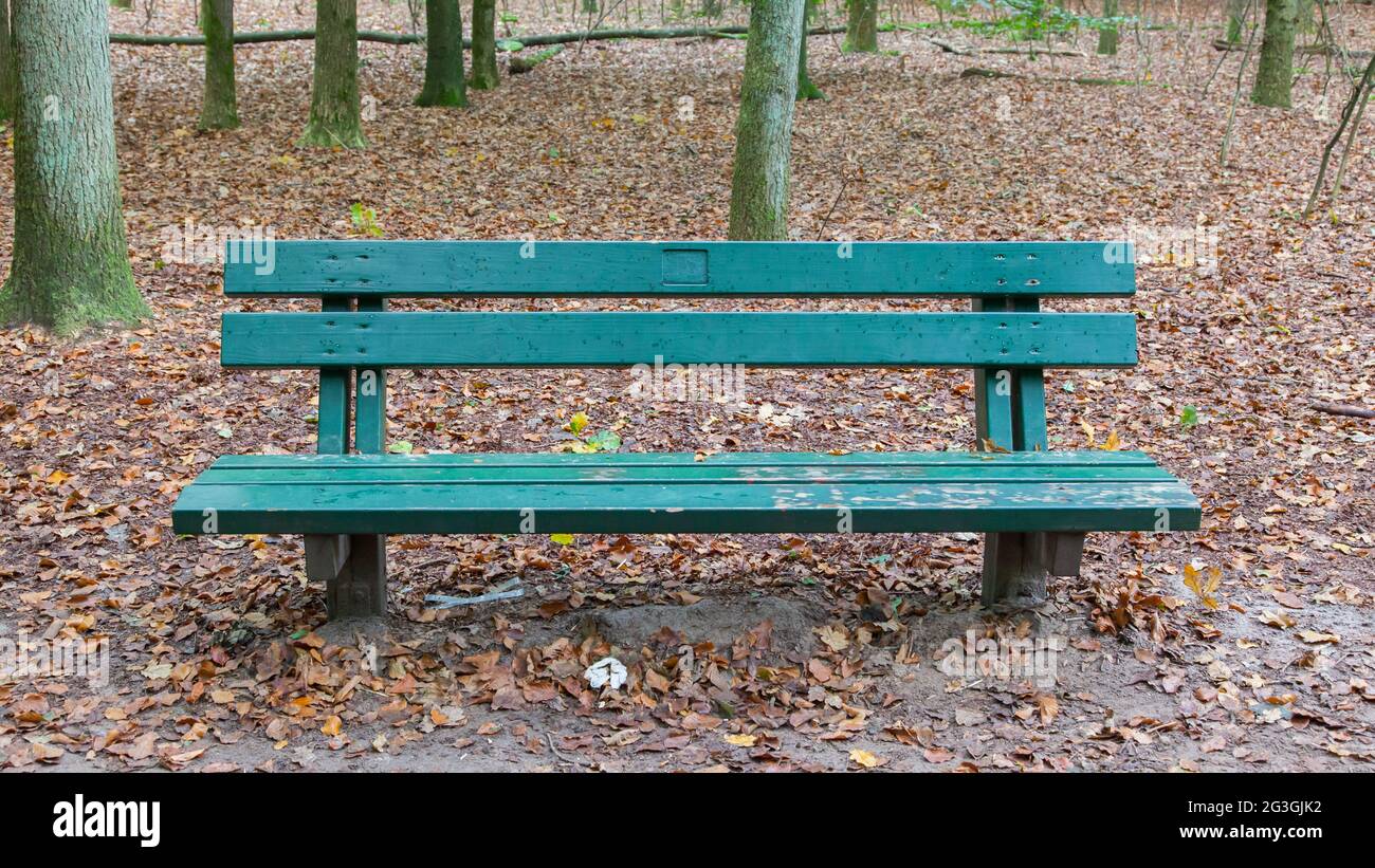Wooden bench in front of a hedge hi-res stock photography and images ...