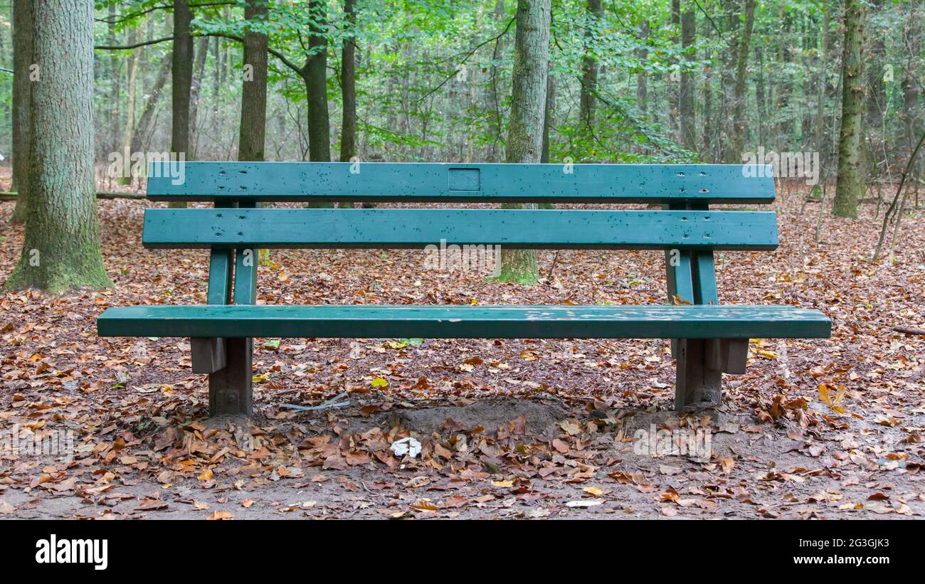 Wooden park bench in a forrest Stock Photo - Alamy