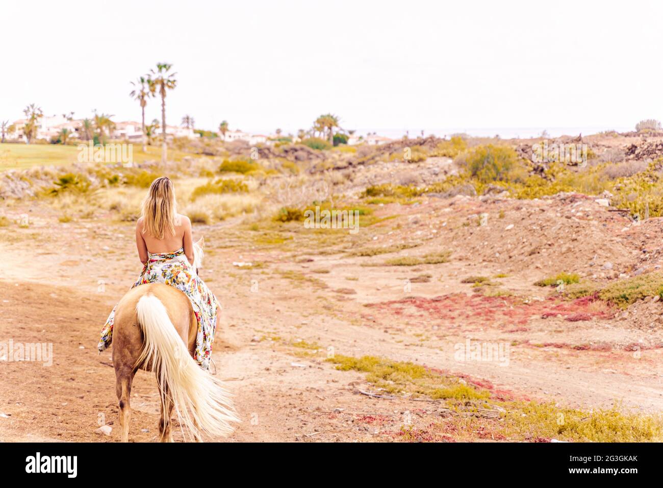 Young woman riding a horse in countryside. Concept about love between ...