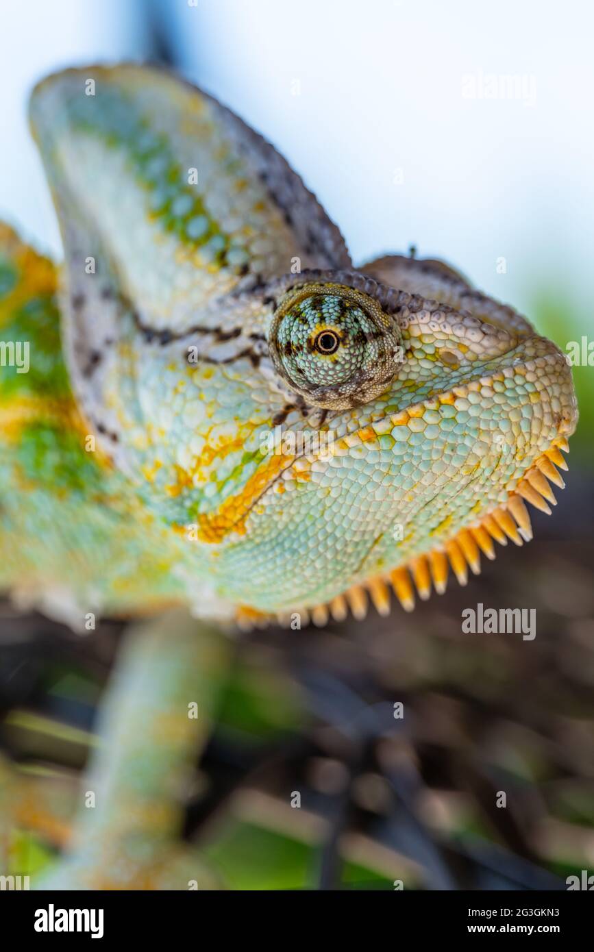 Slowly 4k hi-res stock photography and images - Alamy