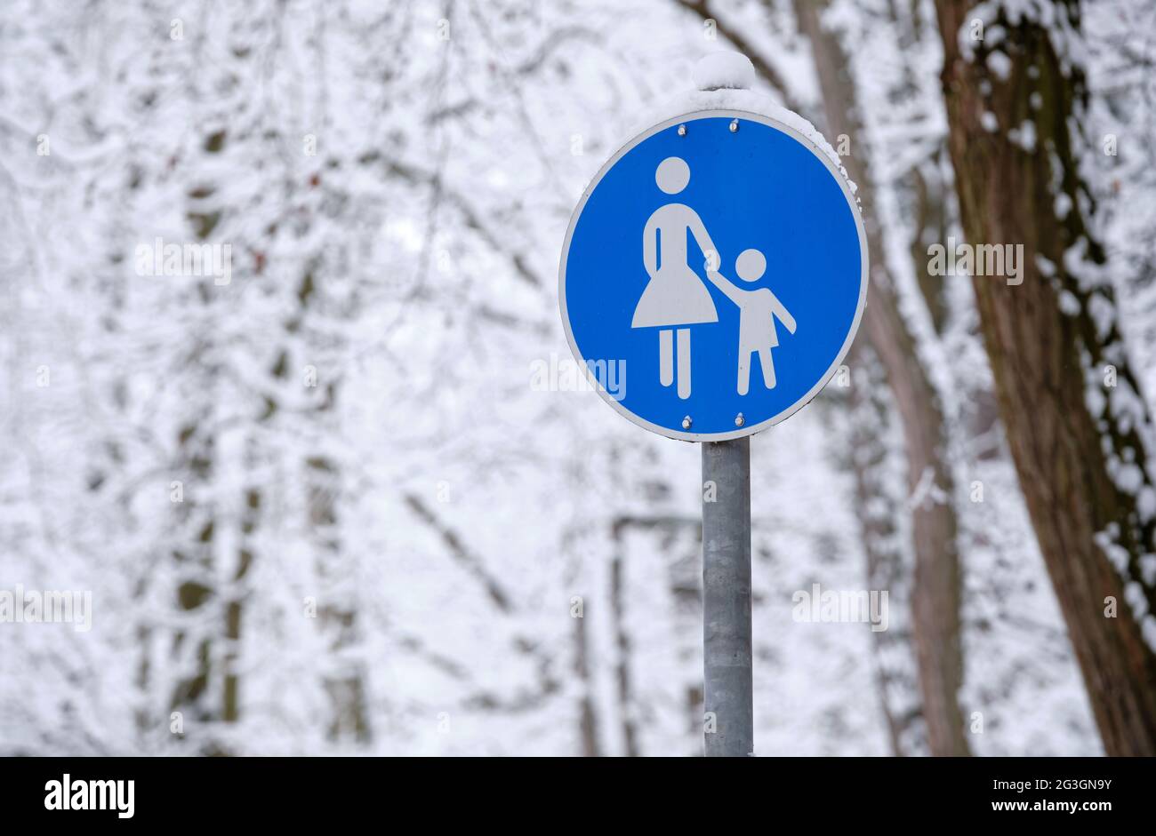 A blue traffic sign in front of beautiful white snow covered trees in ...