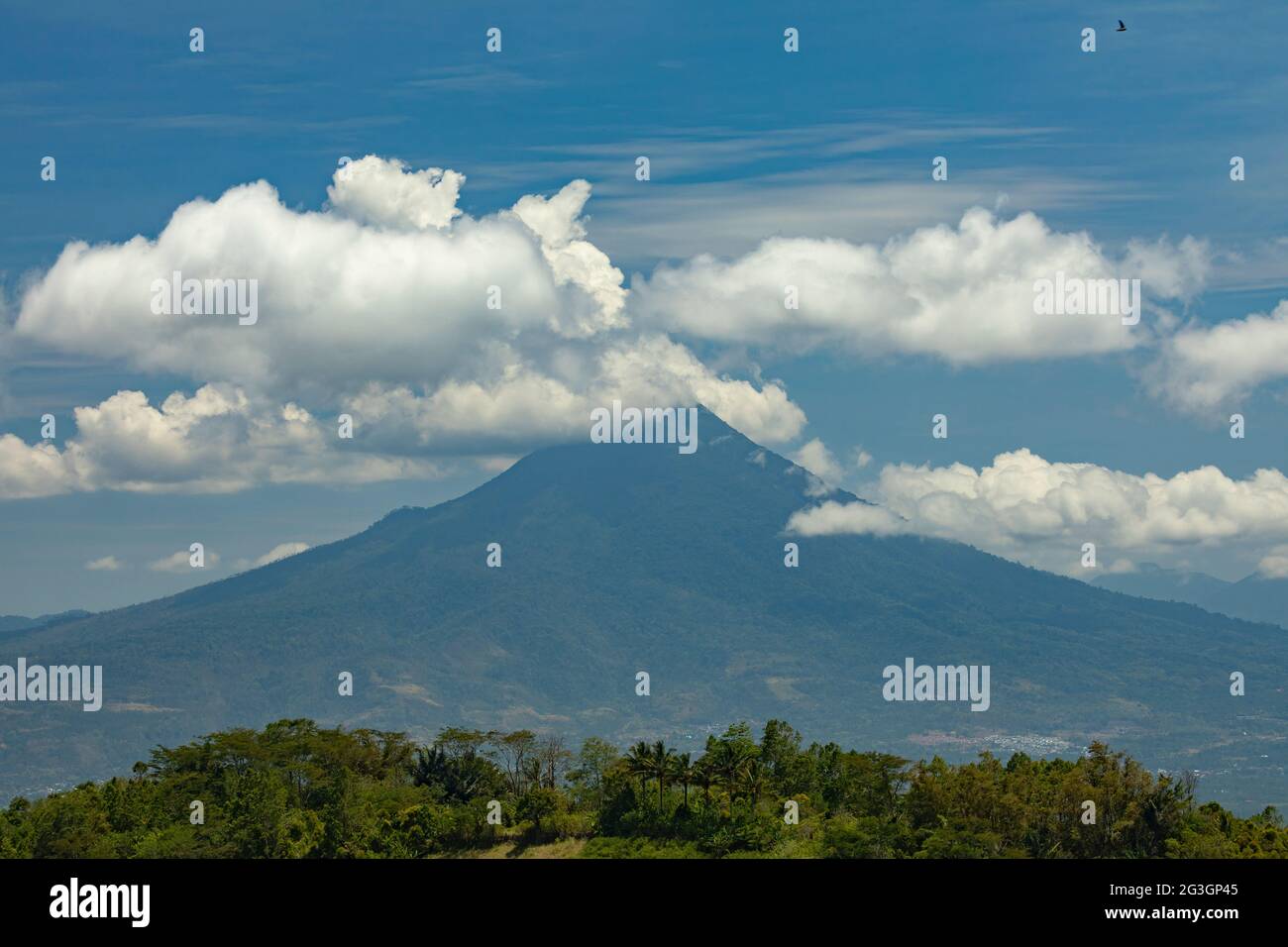 View of Klabat volcano, the highest volcano in Sulawesi, and the ...