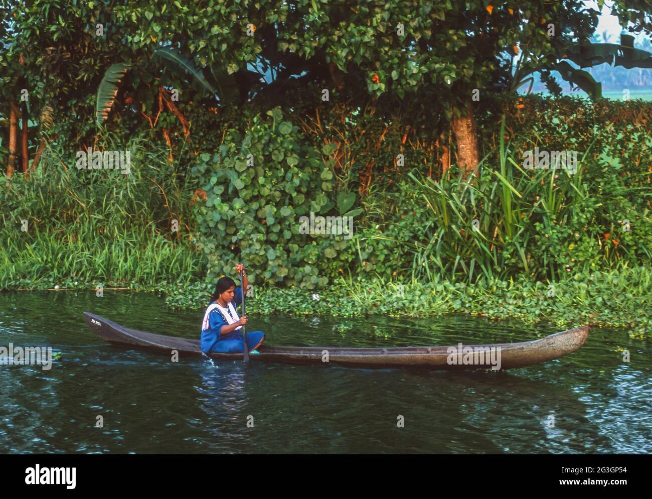 KERALA, INDIA - Woman paddles small canoe on Backwaters canal Stock ...