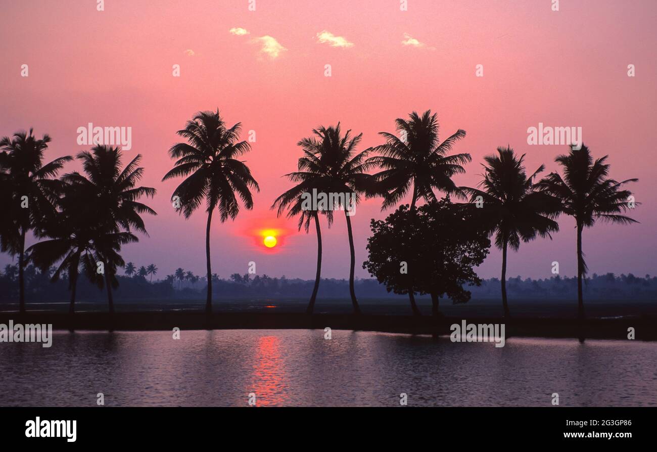 KERALA, INDIA - Sunset and palm trees on Backwaters canal Stock Photo ...