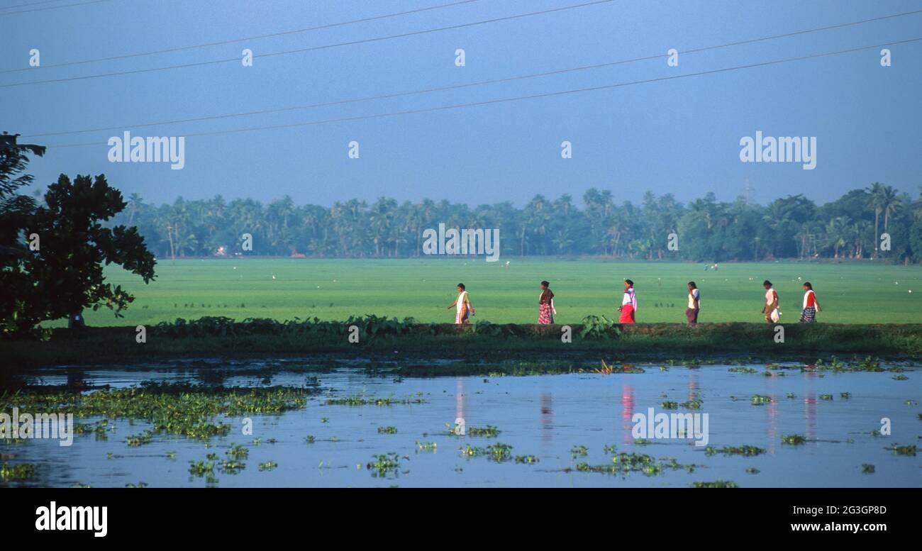 Levee kerala hi-res stock photography and images - Alamy