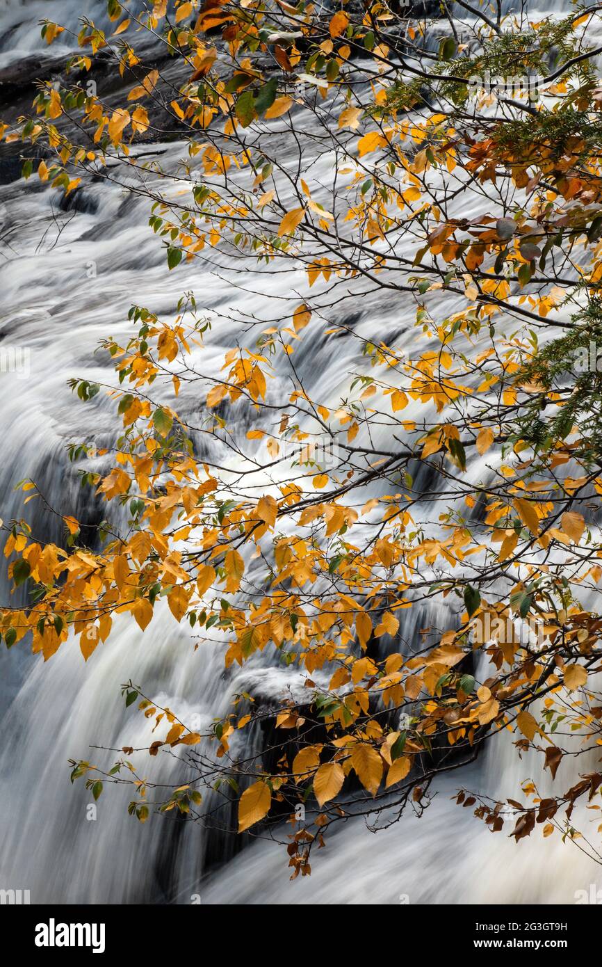 Shohola Falls along Shohola Creek in Pennsylvania's Pocono Mountains ...