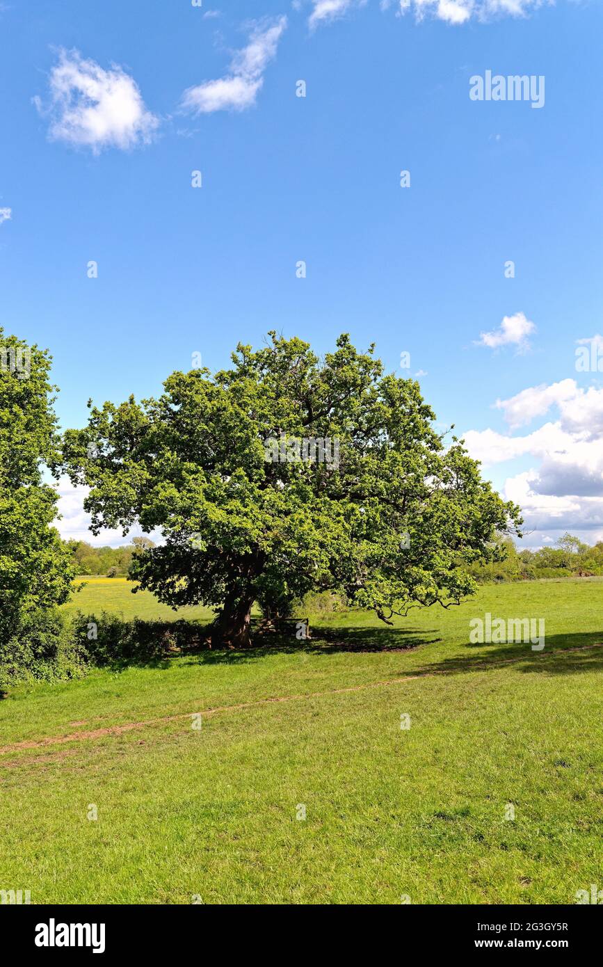 Sunny british landscape hi-res stock photography and images - Alamy