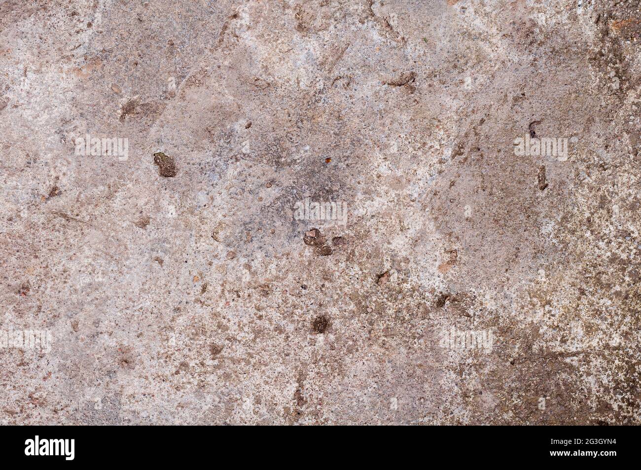 Photo of the concrete screed texture Stock Photo - Alamy
