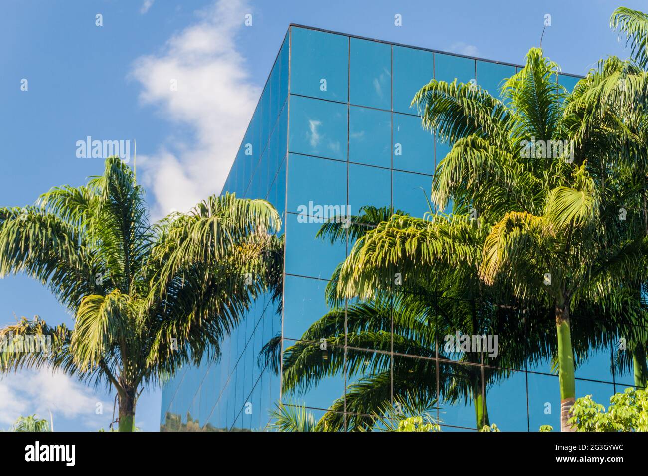 Palms and a glass modern building in Rio de Janeiro, Brazil Stock Photo ...