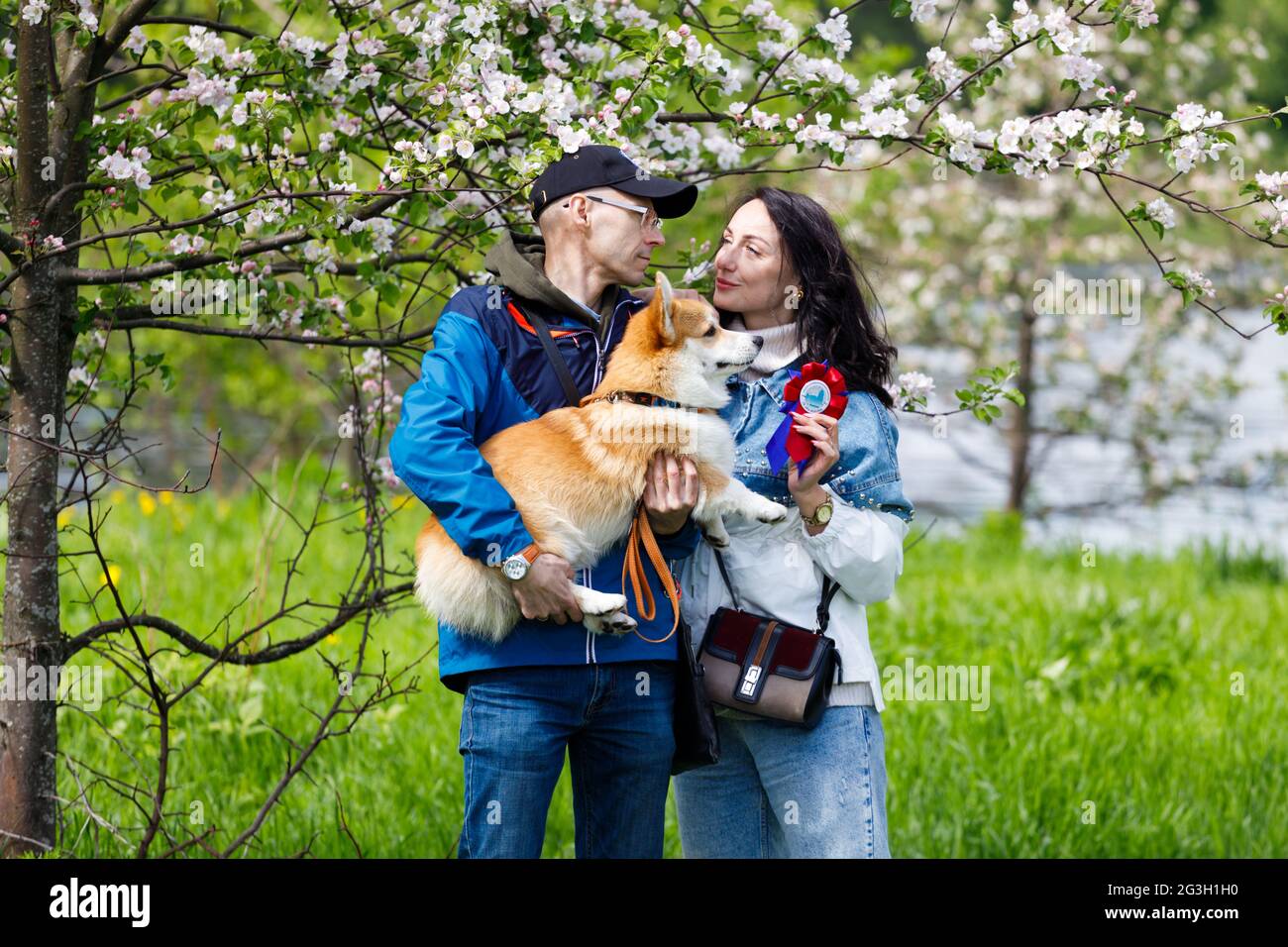 Russia. Vyborg. 05.05.2021 A man and a woman hold a Dog of the Corgi ...