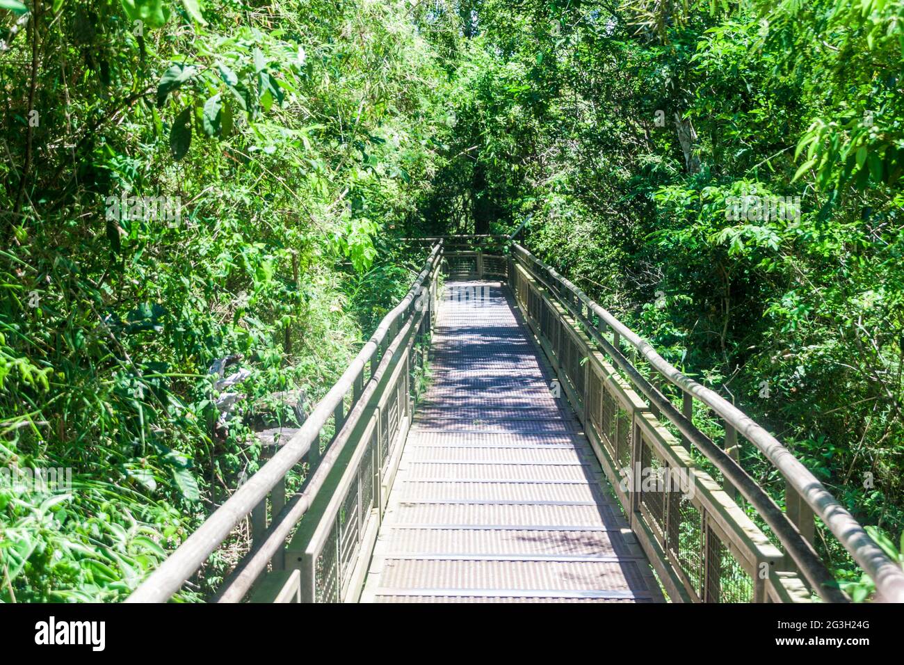 Tourist path in Iguazu National Park in Argentina Stock Photo - Alamy