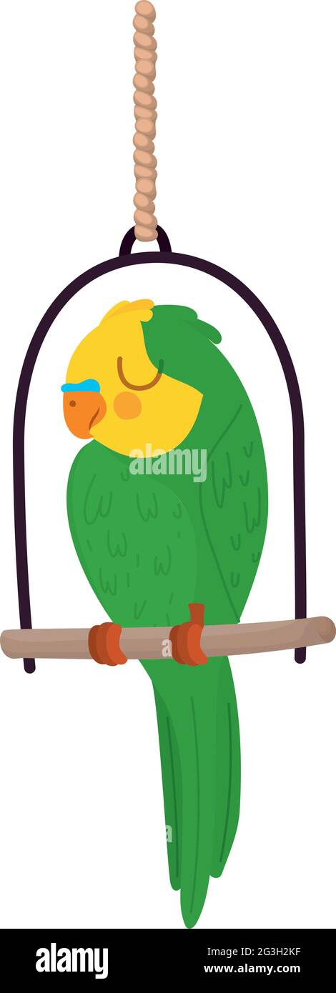 parrot over swing Stock Vector Image & Art - Alamy